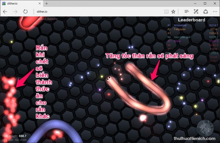 Chơi game Rắn săn mồi Slither.io Online, vui vẻ, gây nghiện